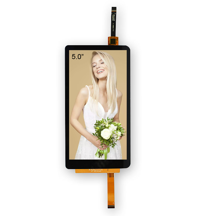 5 inch ips tft lcd display screen with CTP